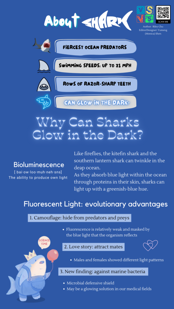Why Can Sharks Glow in the Dark? | Vanderbilt Student Volunteers for ...